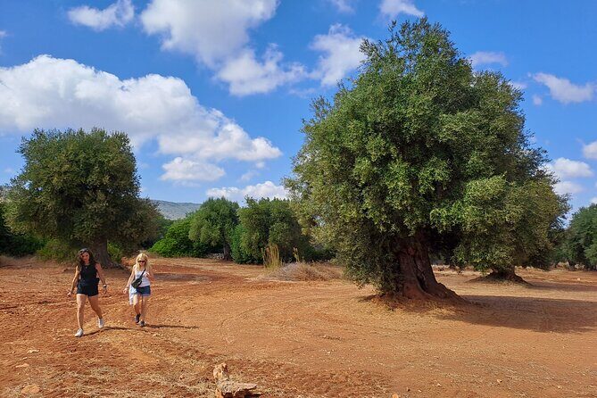 e-bike tour in the plain of the secular olive trees of Ostuni - Final Thoughts