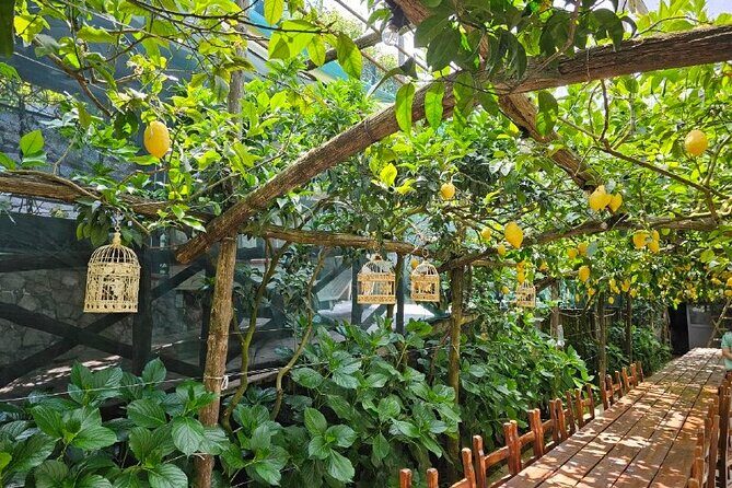 E-Bike Tour in the Sorrento Peninsula and Visit to Acetaia - Authentic Experiences Based on Reviews