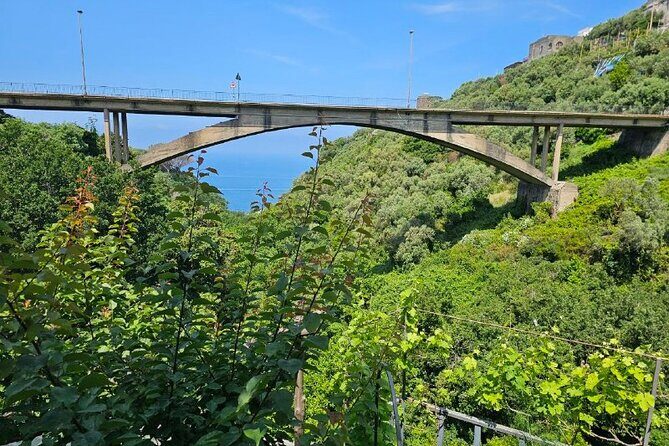 E-Bike Tour in the Sorrento Peninsula and Visit to Acetaia - Who Will Love This Tour?