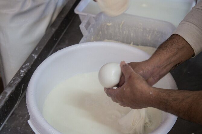 E-bike tour Martina Franca e Locorotondo and visit a dairy - The Sum Up — Who Will Love This Tour?