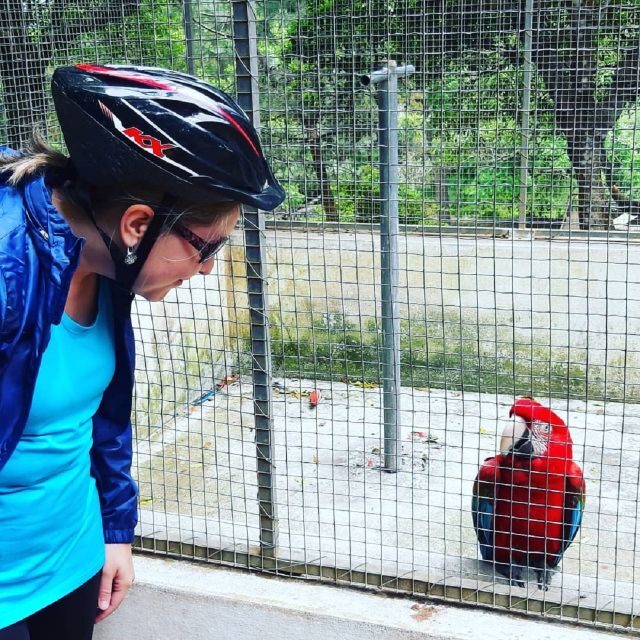 E-Bike Tour Monte Brasil | Terceira Island - Final Thoughts