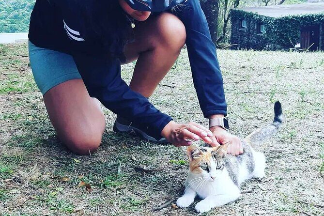 E-Bike Tour Monte Brasil | Terceira Island - FAQ