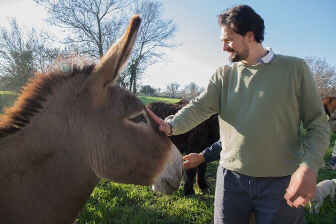 E-bike Tour to Alberobello with Visit to a Donkey Farm - In-Depth Look at the Itinerary