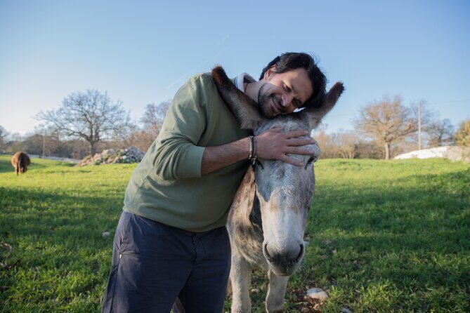 E-bike Tour to Alberobello with Visit to a Donkey Farm - The Sum Up