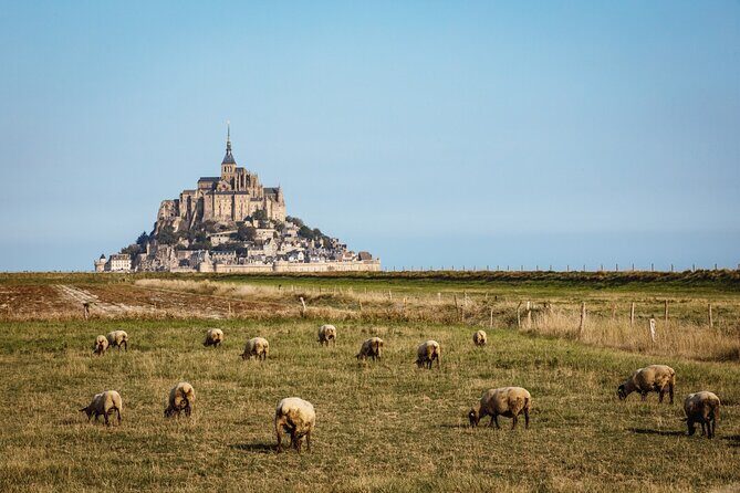 E-Bike Tour to Mont Saint Michel // Private guided tour - Why This Tour Offers Great Value