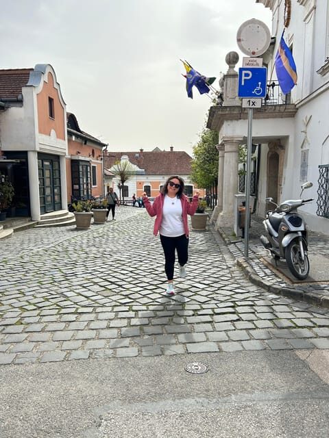 E-Bike Tour to Szentedre - Wrapping It Up