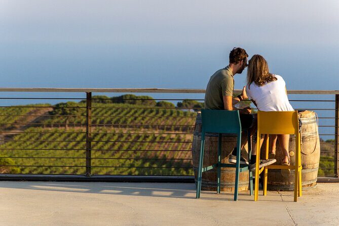 E-bike tour with Wine Tasting at Tenuta delle Ripalte - Stop 1: Tenuta delle Ripalte