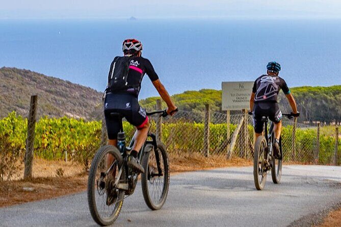 E-bike tour with Wine Tasting at Tenuta delle Ripalte - Final Stop: Wine & Relaxation at Tenuta Ripalte