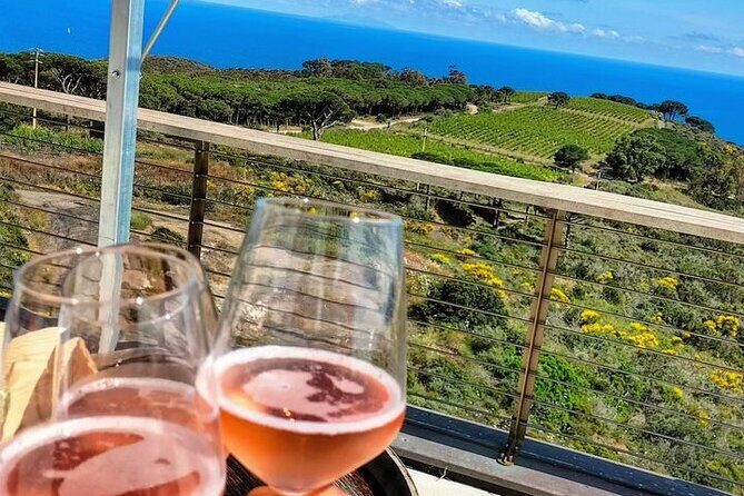 E-bike tour with Wine Tasting at Tenuta delle Ripalte - What Travelers Are Saying