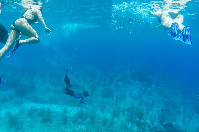 E-bike West Coast Snorkeling Tour - FAQs