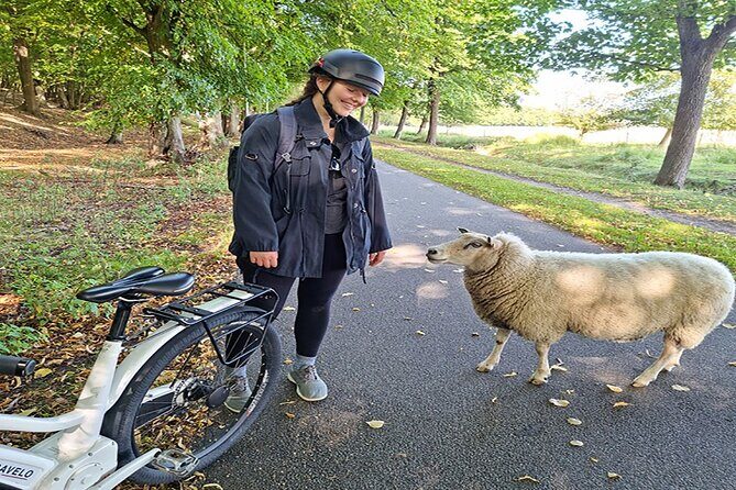 E-biking Northern Forgotten Giants' s Adventure - Final Thoughts
