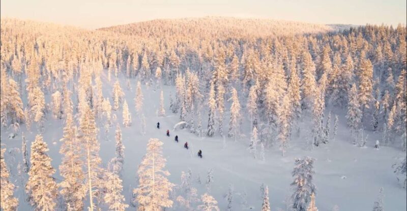 E-FatBike experience in small groups - Final Thoughts: Is It Worth It?