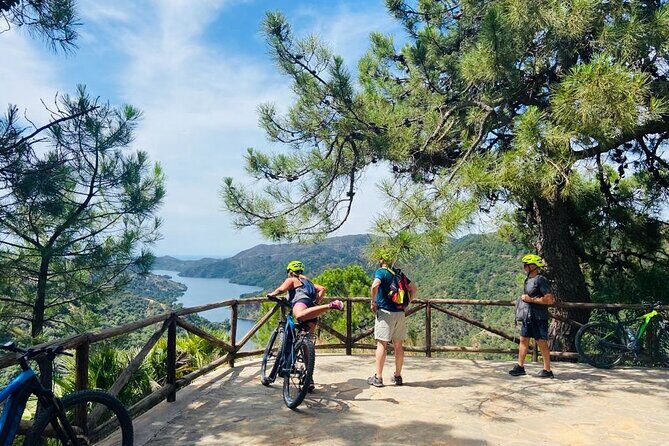 E-Mountain Bike & Wine Tour from Marbella to Sierra Blanca - Key Points