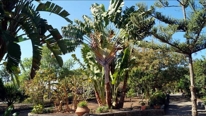 e-Scooter City Tour + Camel Ride inside Maspalomas Dunes - Final Thoughts