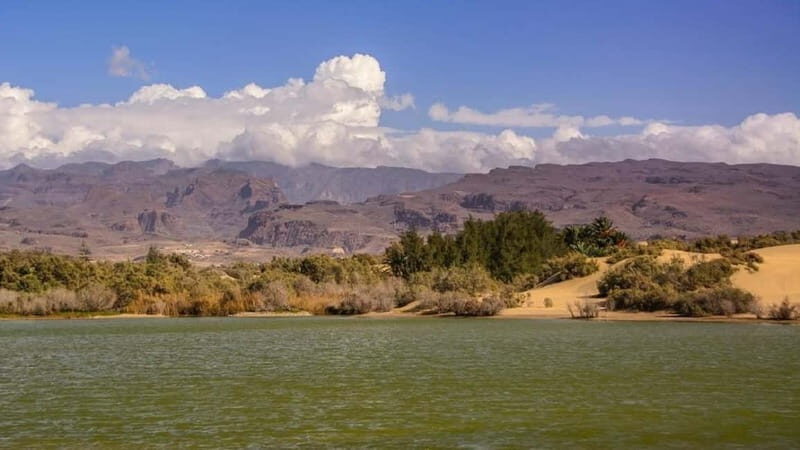 e-Scooter City Tour + Camel Ride inside Maspalomas Dunes - FAQ