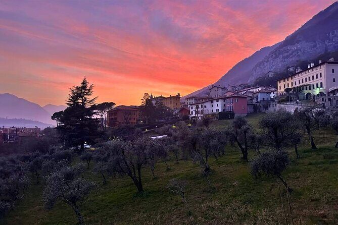 E.V.O. oil of Lake Como tasting+ food pairings - What to Expect from the Lake Como Olive Oil Tasting Tour