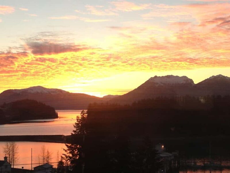 Ear Mountain Charters tours: whale watching or fishing - Wildlife and Scenery: What You’ll See