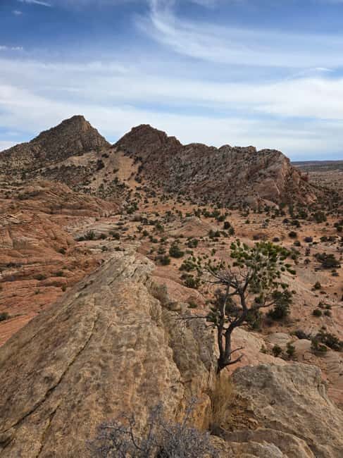 East Grand Canyon: Off-Road Tour With Picnic At The Rim - The Sum Up