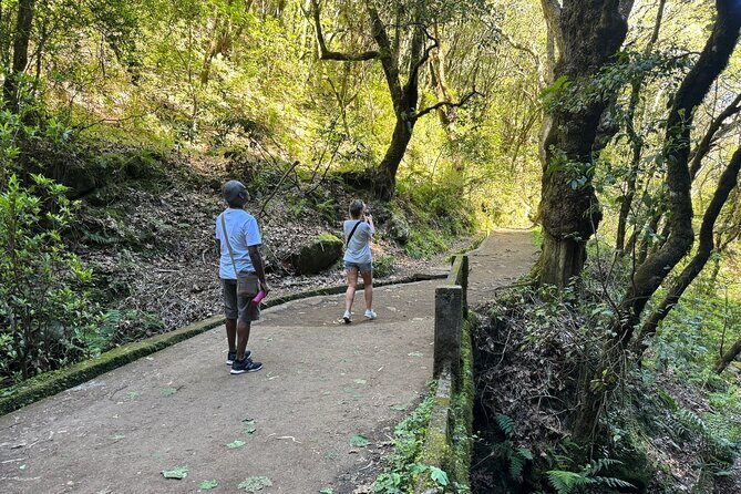 EAST: Pico do Arieiro & Laurissilva Forest - Full Day tour - Ponta de São Lourenço