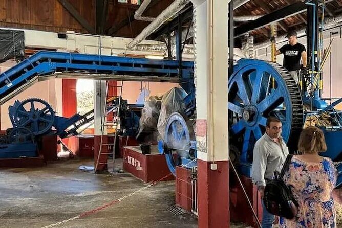 EAST: Pico do Arieiro & Laurissilva Forest - Full Day tour - Transport and Group Size