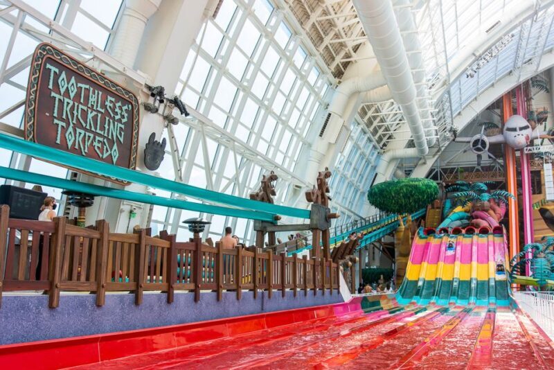 East Rutherford: Dreamworks Indoor Water Park Entry Ticket - Who Will Love This Experience?
