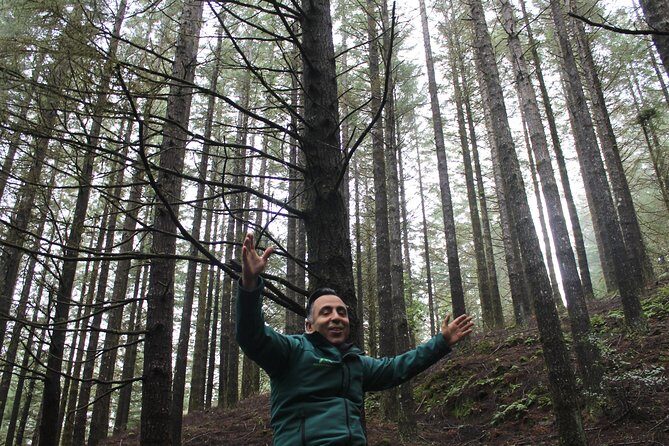 East Tour - 4x4 - Small Group - Who Would Enjoy This Tour?