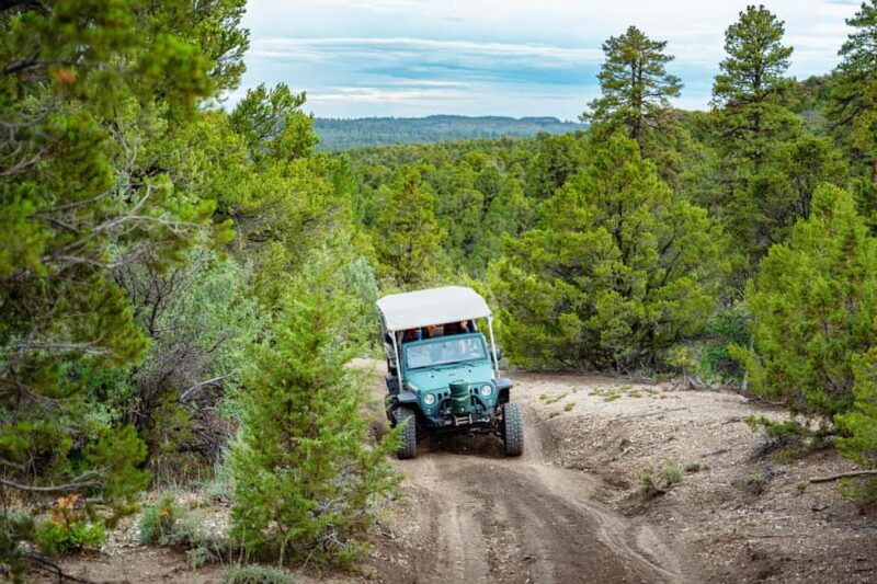 East Zion: Sunset, S'mores, and Stargazing Jeep Experience - What Makes This Experience Stand Out