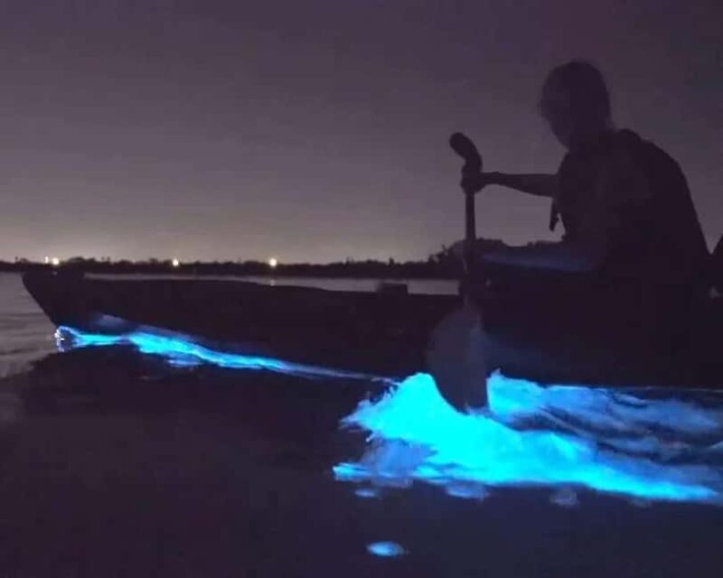 Eastsound: Orcas Island Bioluminescent Kayak Tour - The Value of the Gear and Guidance