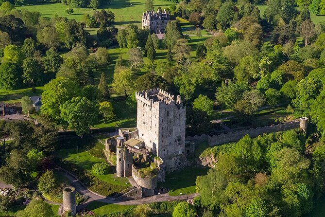 Easy Access Blarney Stone and Castle Gardens Tour - Who Is This Tour Best For?