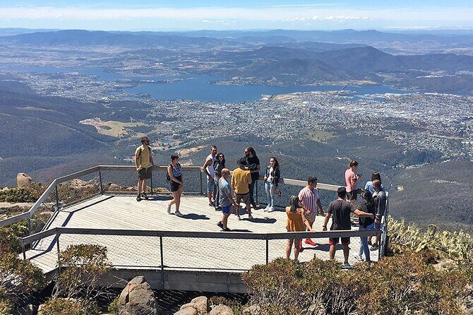 Easy Bike Tour - Mt Wellington Summit Descent & Rainforest Ride - A Well-Organized, Scenic Mountain Bike Experience