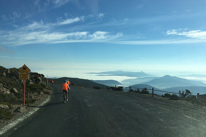 Easy Bike Tour - Mt Wellington Summit Descent & Rainforest Ride - The Sum Up