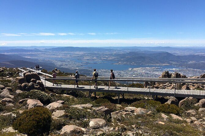 Easy Bike Tour - Mt Wellington Summit Descent & Rainforest Ride - Frequently Asked Questions