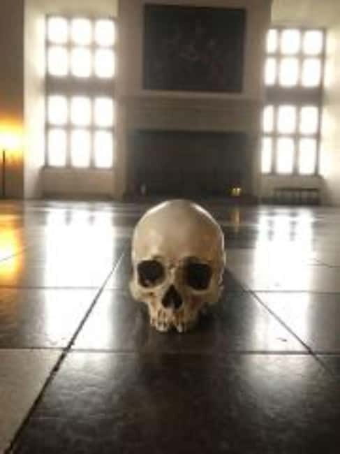 Easy Pace Tour of Kronborg Castle and Frederiksborg Palace - FAQs About the Tour