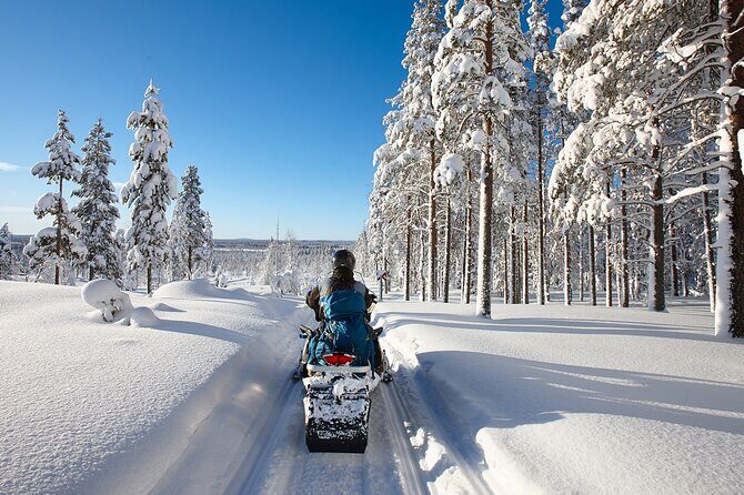 Easy Snowmobile Safari - What to Expect from the Snowmobile Safari