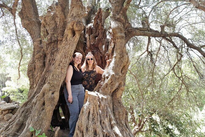 Eat & Crete Food Tour [non-touristy] Chania Villages - A Feast of Cretan Flavors