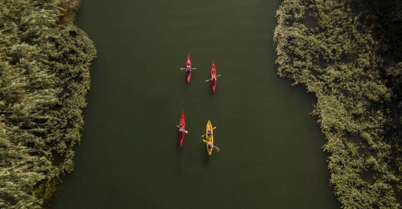 Ebro Delta: Guided Kayak Tour to Gracia Island - Exploring the Ebro Delta: Guided Kayak Tour to Gracia Island