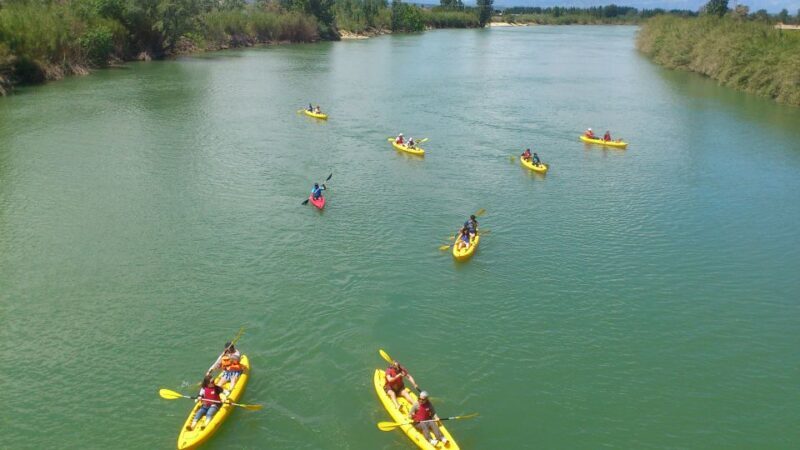 Ebro Delta: Guided Kayak Tour to Gracia Island - What the Reviews Tell Us