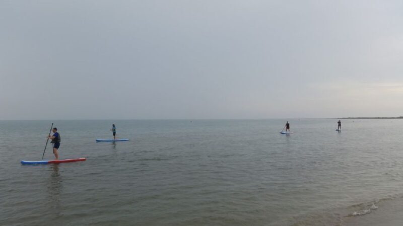 Ebro Delta National Park: Scenic Drive and Kayaking Tour - Refreshments and Wrap-up