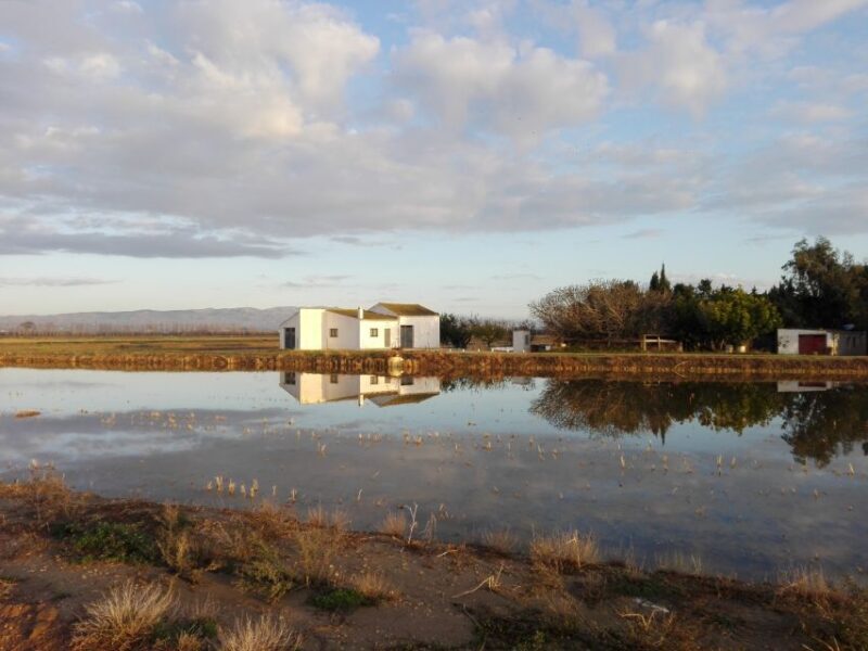 Ebro Delta: Northern Delta Guided Tour with a Local - Point Where the Ebro Meets the Mediterranean