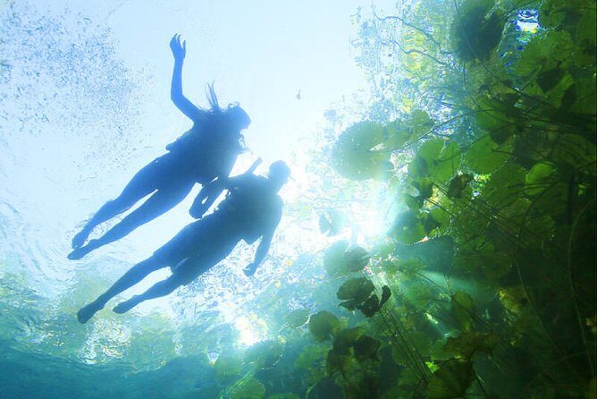 ECHANTING 2 Days excursion to 2 different ecoparks in RIVERA MAYA with transport - Key Points