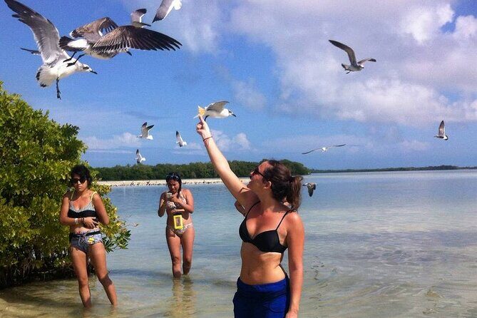 ECO-Adventure at Holbox Island and Cenote Yalahau from Cancun & Playa Del Carmen - Exploring the Itinerary in Detail