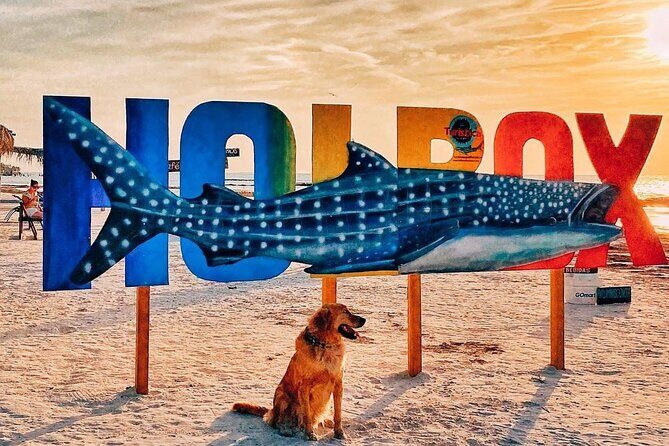 ECO-Adventure at Holbox Island and Cenote Yalahau from Cancun & Playa Del Carmen - Transport & Timing