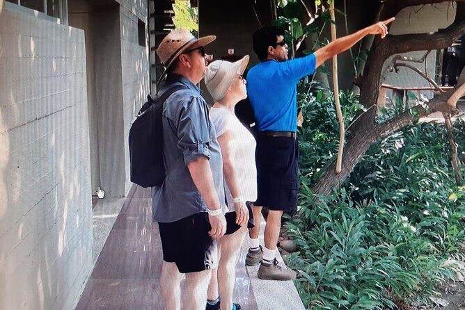 Eco Adventure in the Archaeological Area of Copalita - Final Thoughts: Who Will Love This Experience?