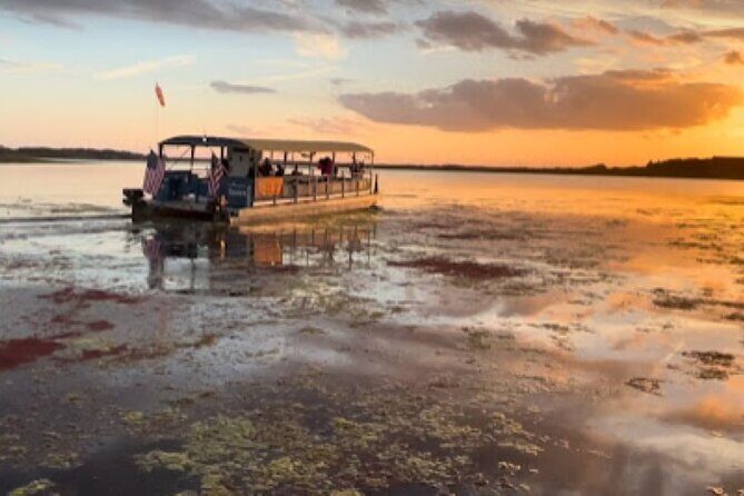 Eco Adventure Scenic Wildlife Boat Cruise - What You Can Expect from the Eco Adventure Scenic Wildlife Boat Cruise