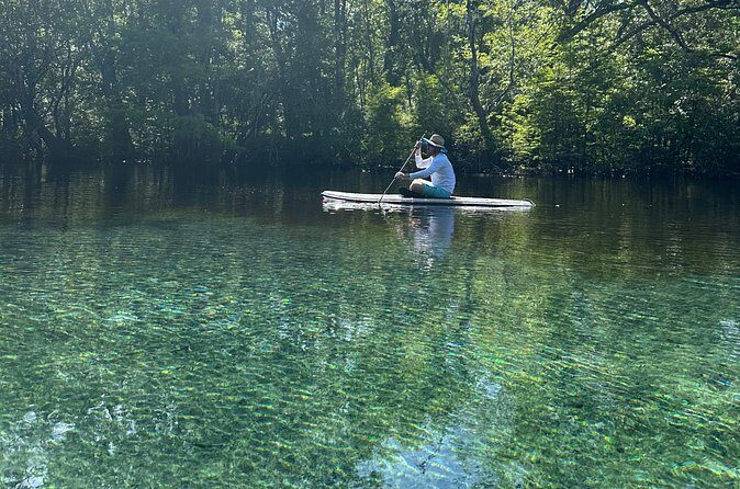 ECO adventure to Cypress Springs by Paddle Board or Kayak - Who Will Enjoy This Tour?