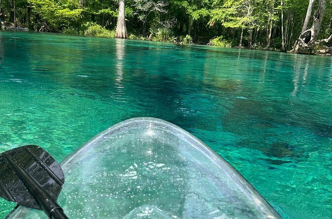 ECO adventure to Cypress Springs by Paddle Board or Kayak - The Sum Up