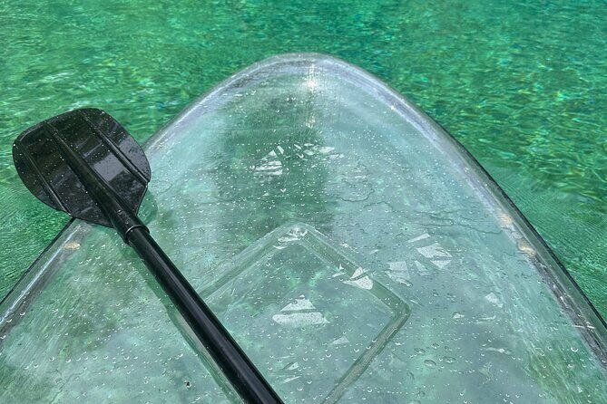 ECO adventure to Cypress Springs by Paddle Board or Kayak - FAQ