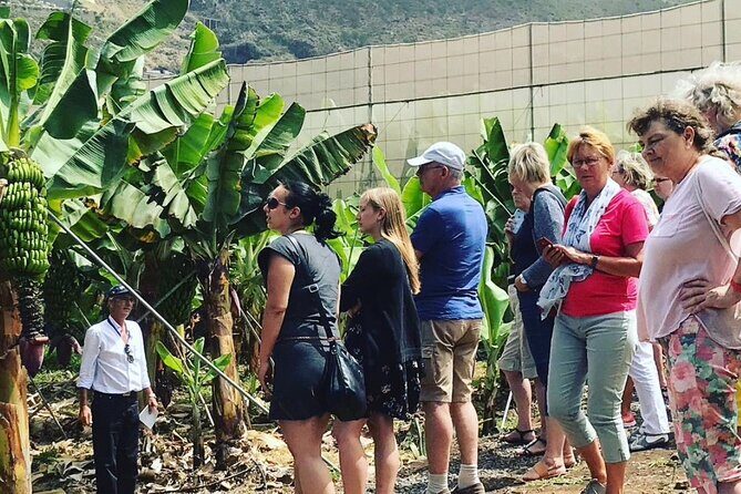Eco banana farm Tour - Key Points