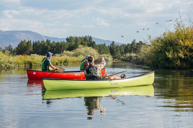 Eco Canoe Tour - What Makes the Eco Canoe Tour Special?