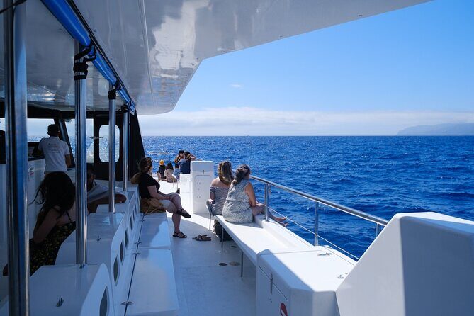 Eco-Friendly Catamaran Dolphin and Whale Watching - The Value in Details